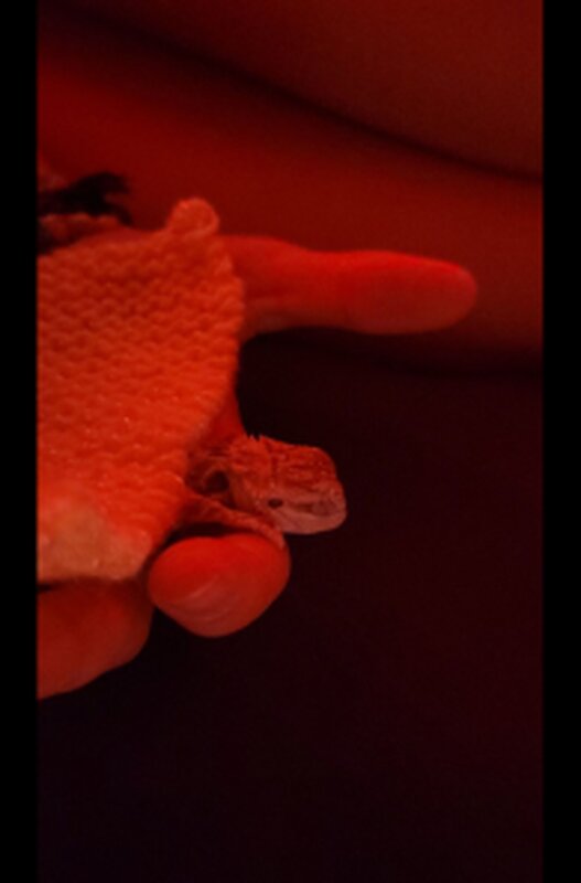 Pluto Minecraft Texture Pack