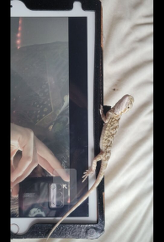 Pluto Minecraft Texture Pack