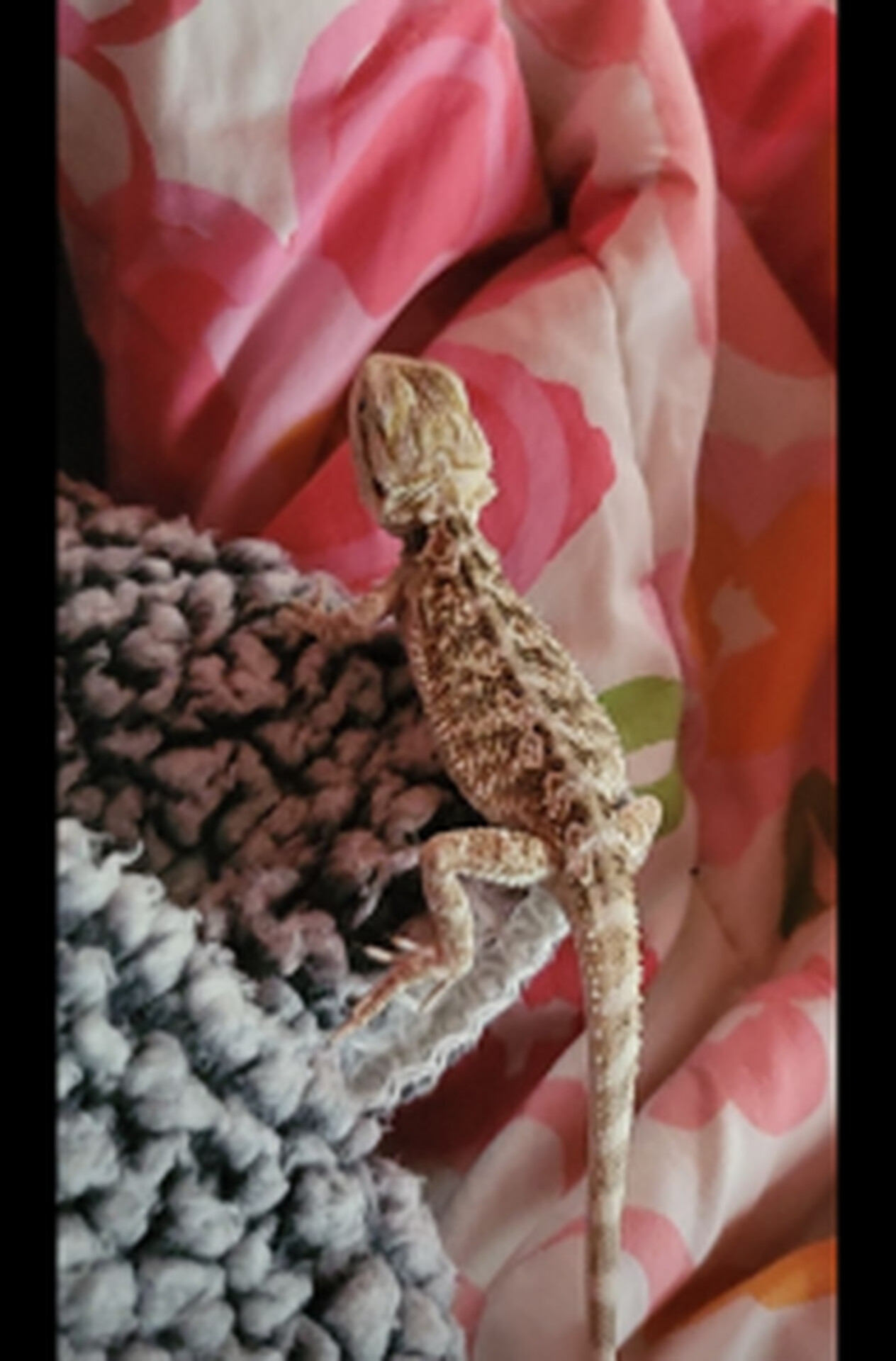 Pluto Minecraft Texture Pack