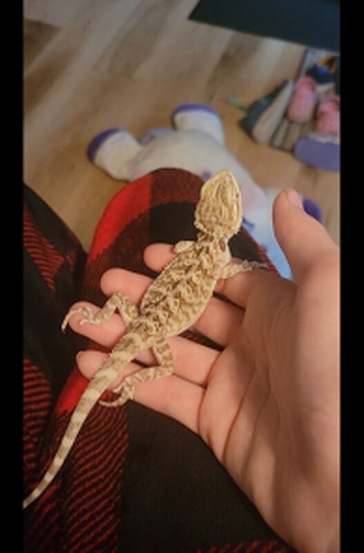 Pluto Minecraft Texture Pack