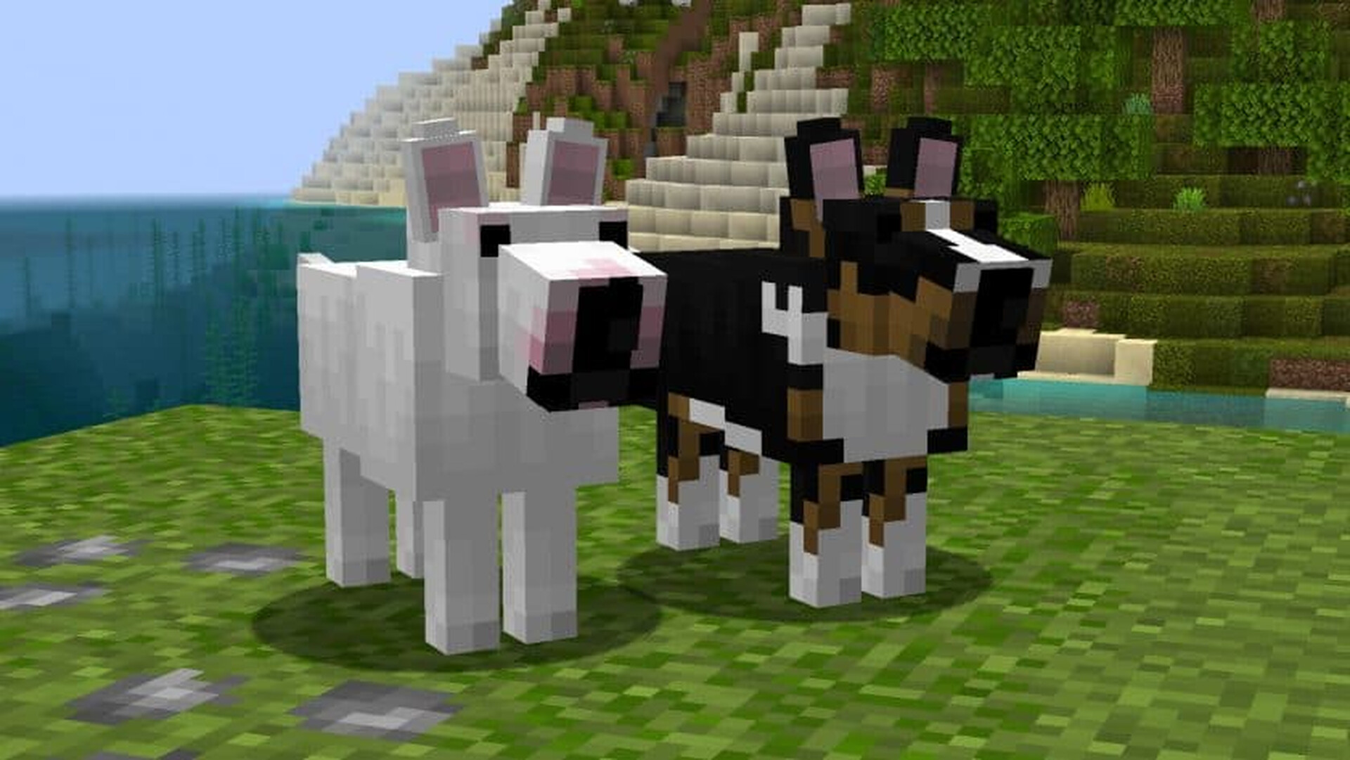 Improve_Dogs Bedrock(1.19-1.8 Minecraft Texture Pack