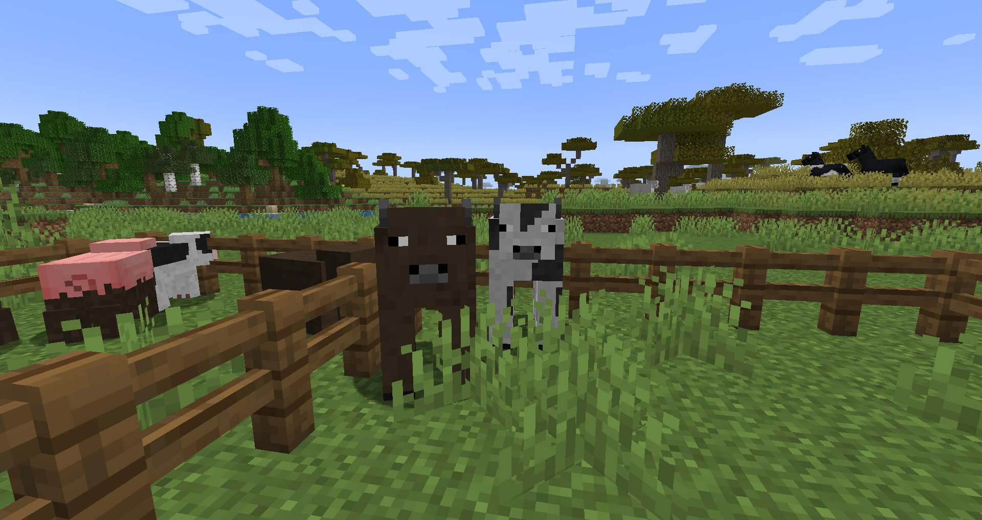 Pig & Cow Variations Minecraft Texture Pack