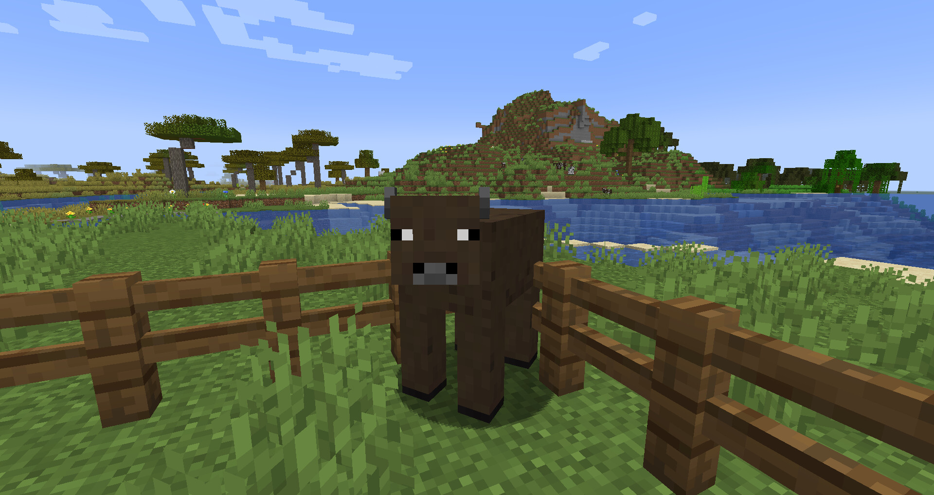 Pig & Cow Variations Minecraft Texture Pack