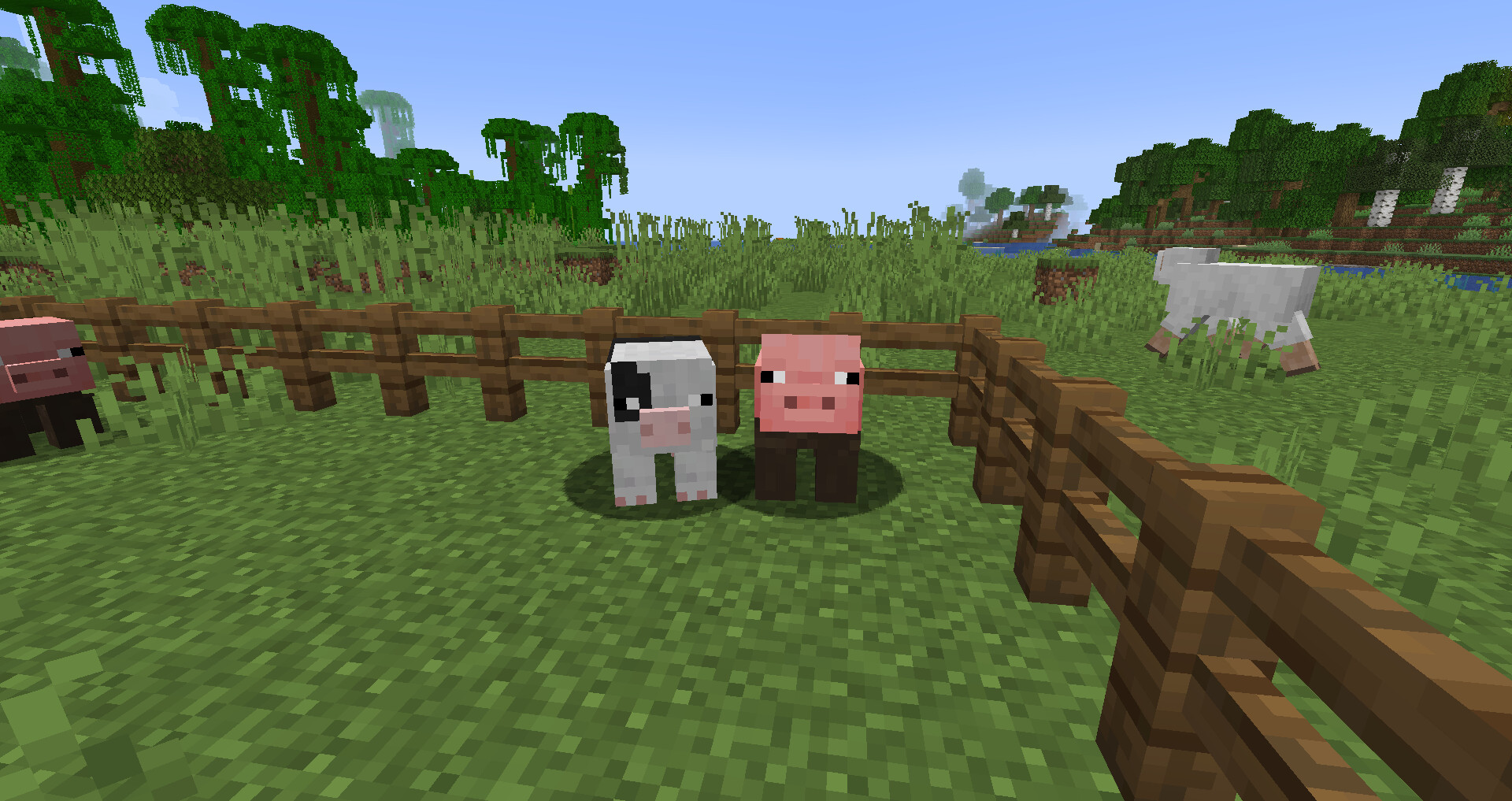 Pig & Cow Variations Minecraft Texture Pack