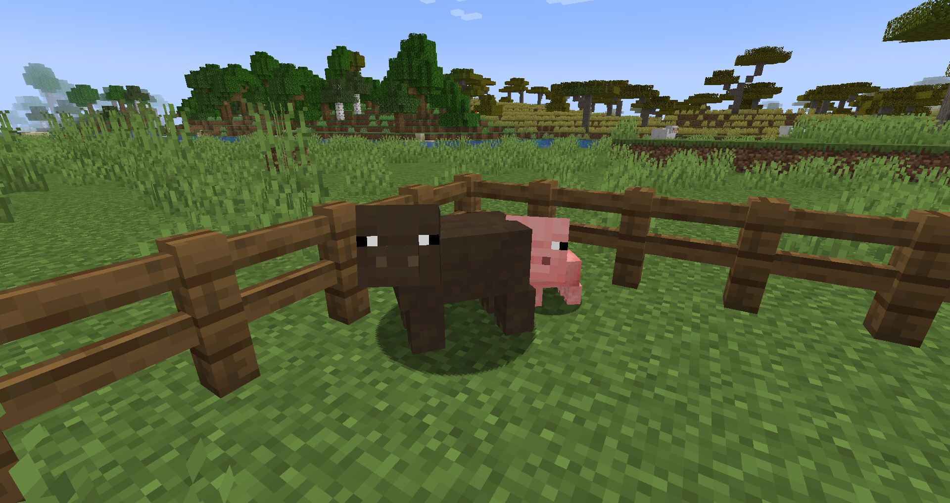 Pig & Cow Variations Minecraft Texture Pack