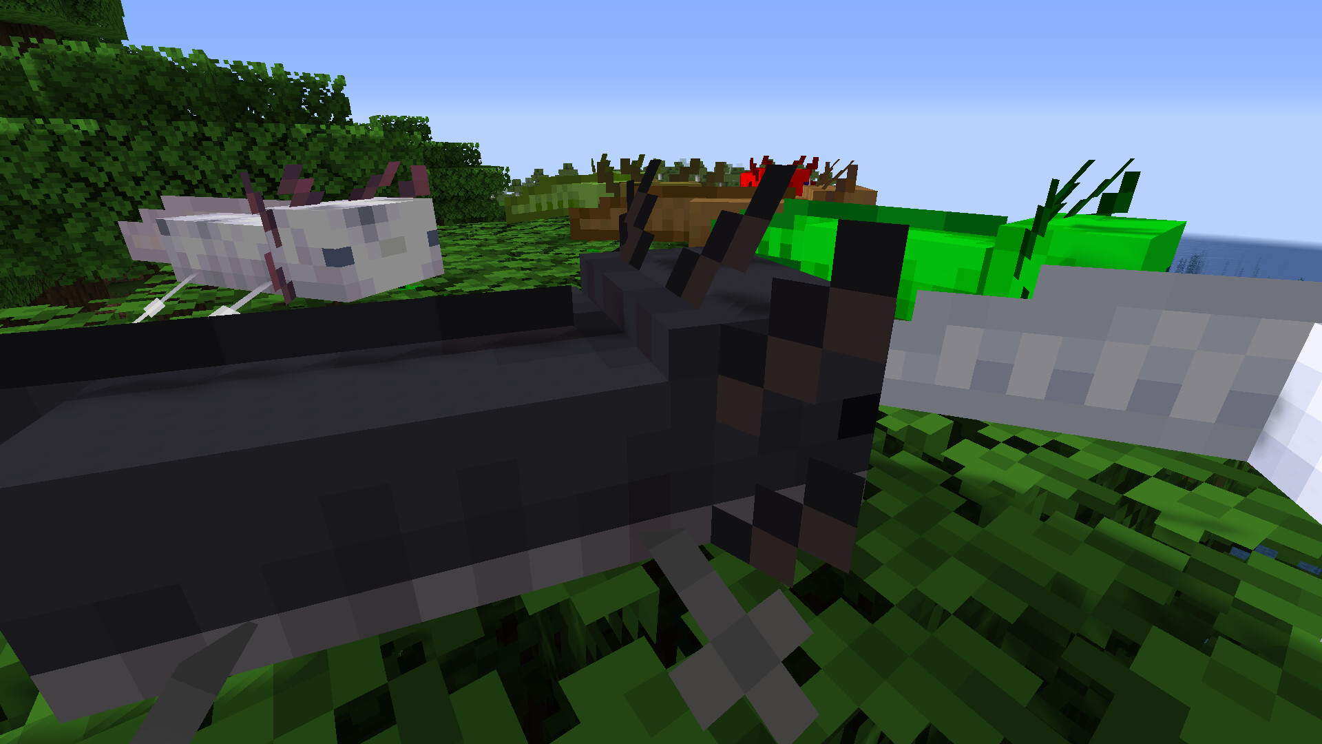 Addolotls Optifine or Entity Texture Features Minecraft Texture Pack