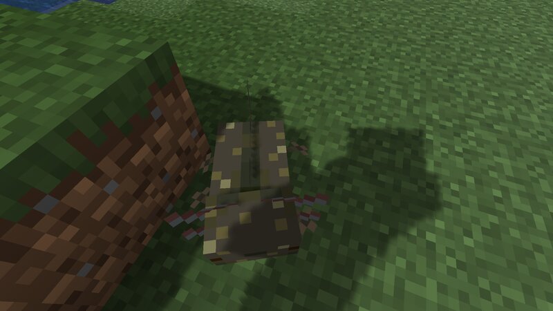 Addolotls Optifine or Entity Texture Features Minecraft Texture Pack