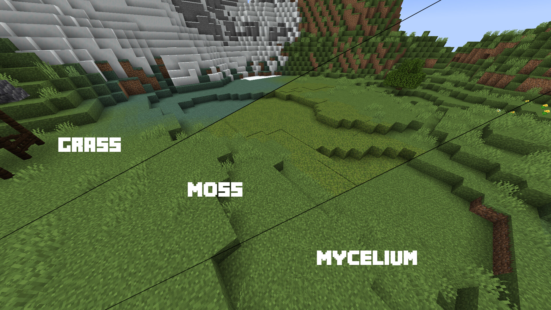 Plains Grass Anywhere! - Mycelium to Grass Minecraft Texture Pack