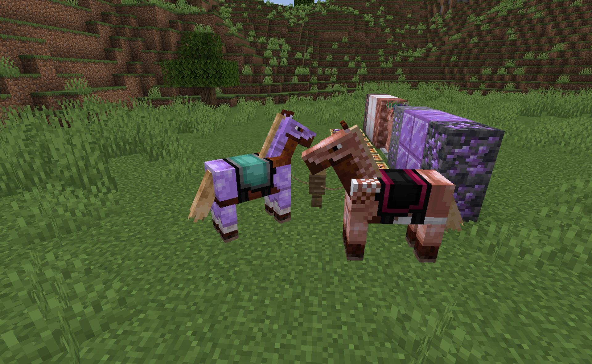 Fancy Armor and Crowns Minecraft Texture Pack