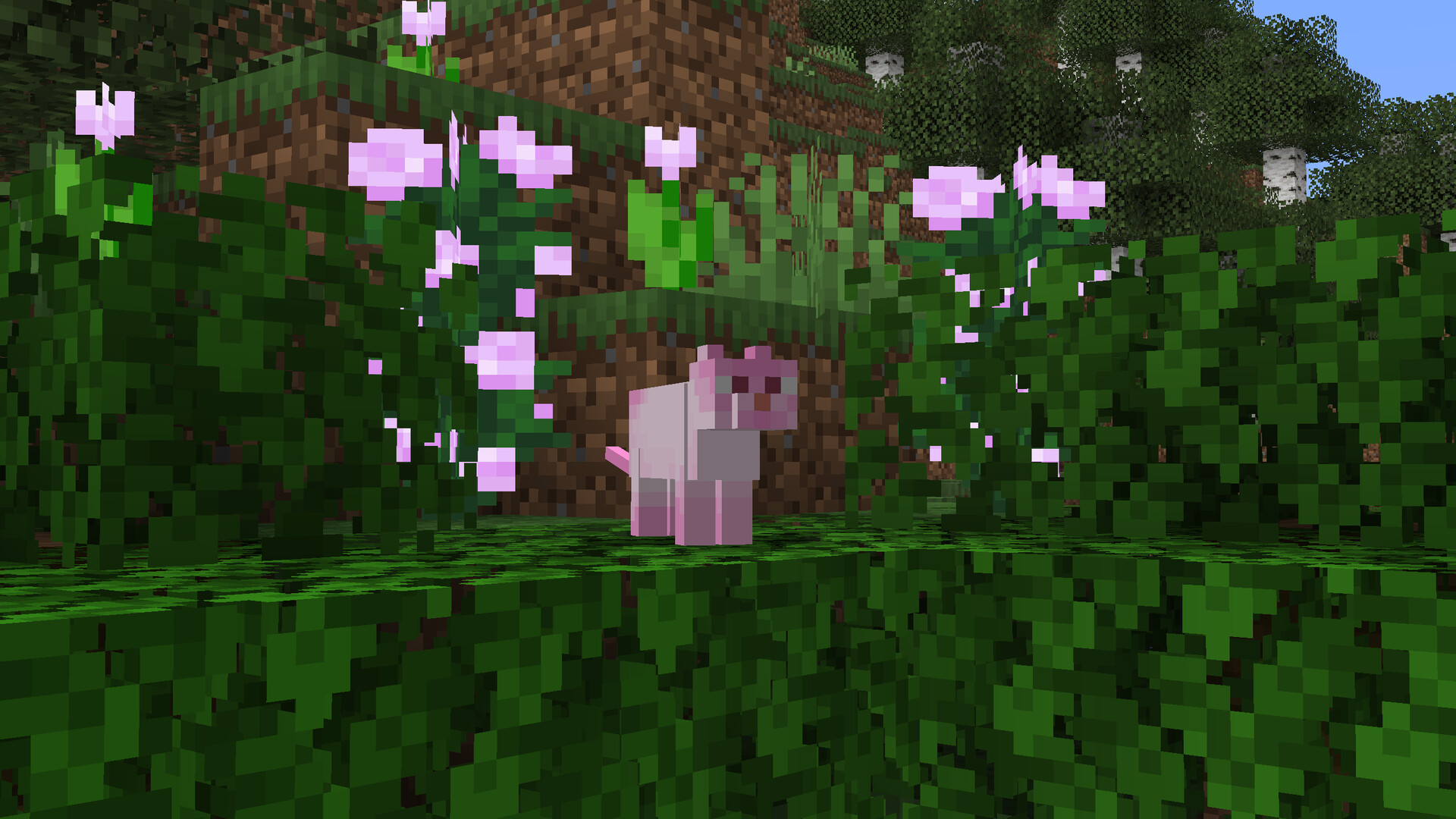Haphazardly Pink 1.19.2+ Minecraft Texture Pack