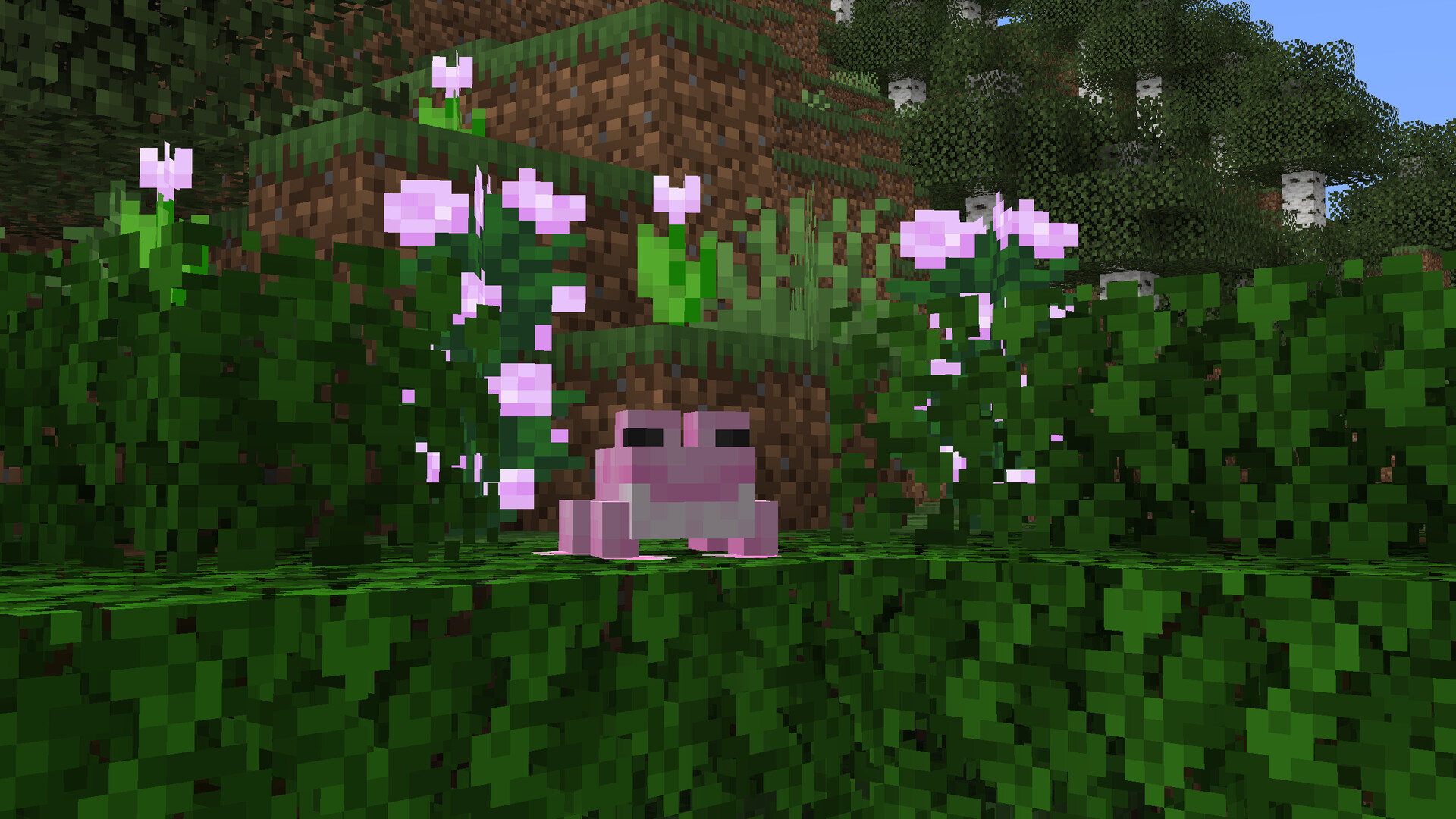 Haphazardly Pink 1.19.2+ Minecraft Texture Pack
