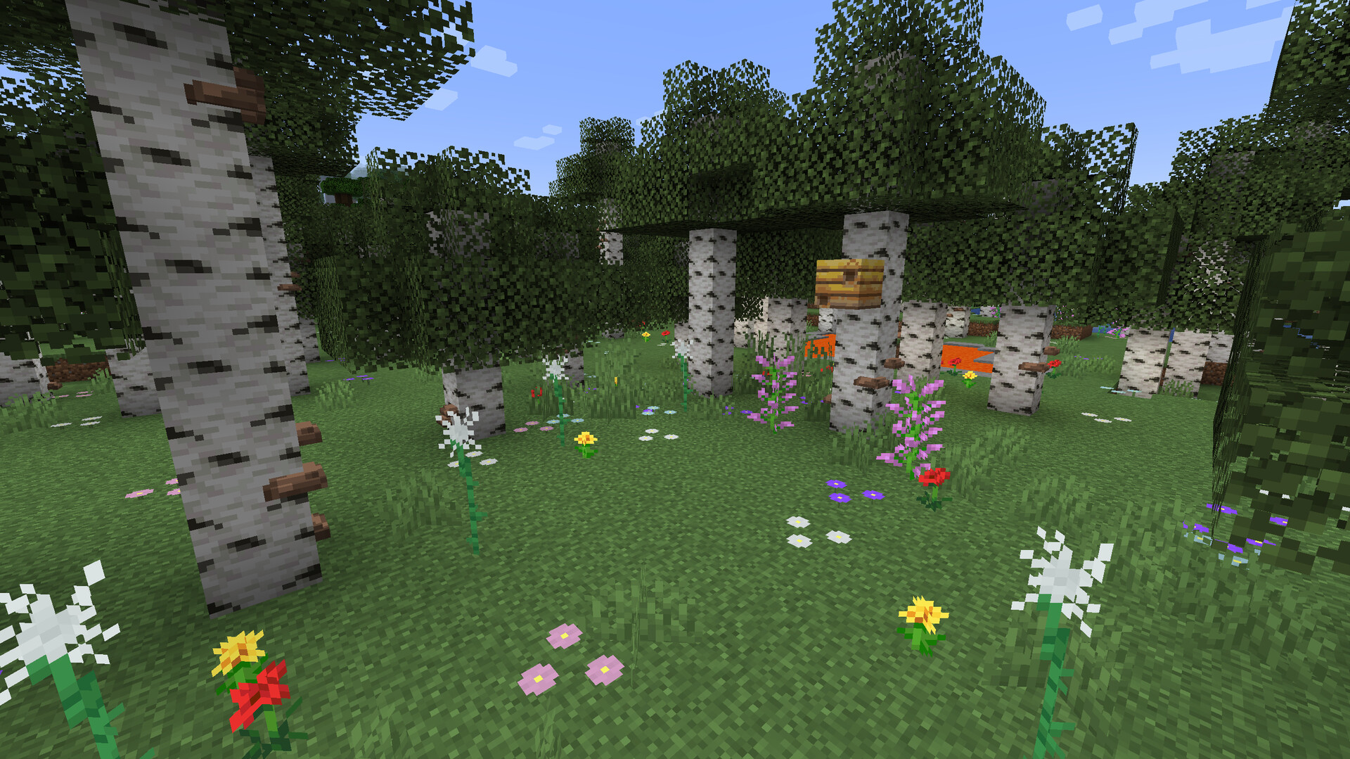 Biomes Revamp - Updating Biomes! Play the Birch Forest concept art ...