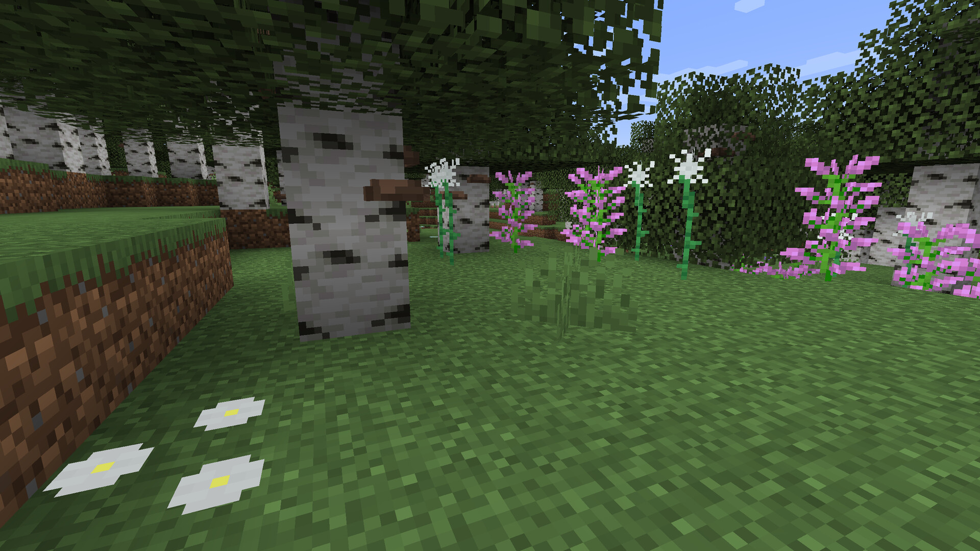 Biomes Revamp - Updating Biomes! Play the Birch Forest concept art ...