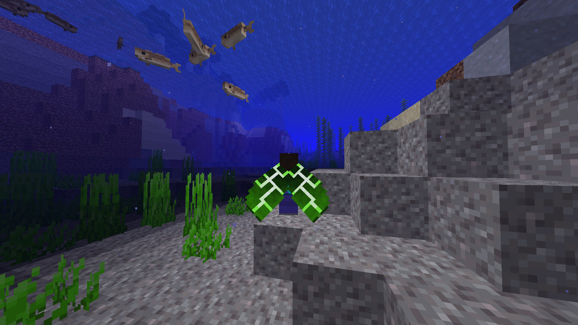 Animated RGB Elytra! [Optifine Required ] Minecraft Texture Pack