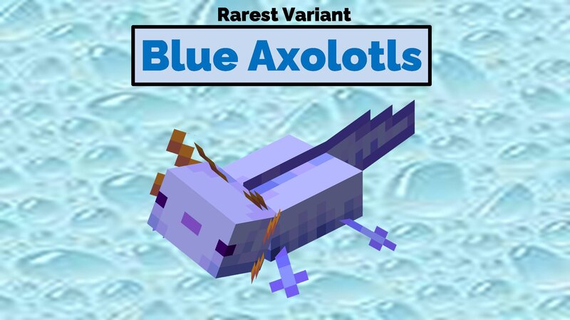Rarest Blue Axolotls Unlimited Minecraft Texture Pack