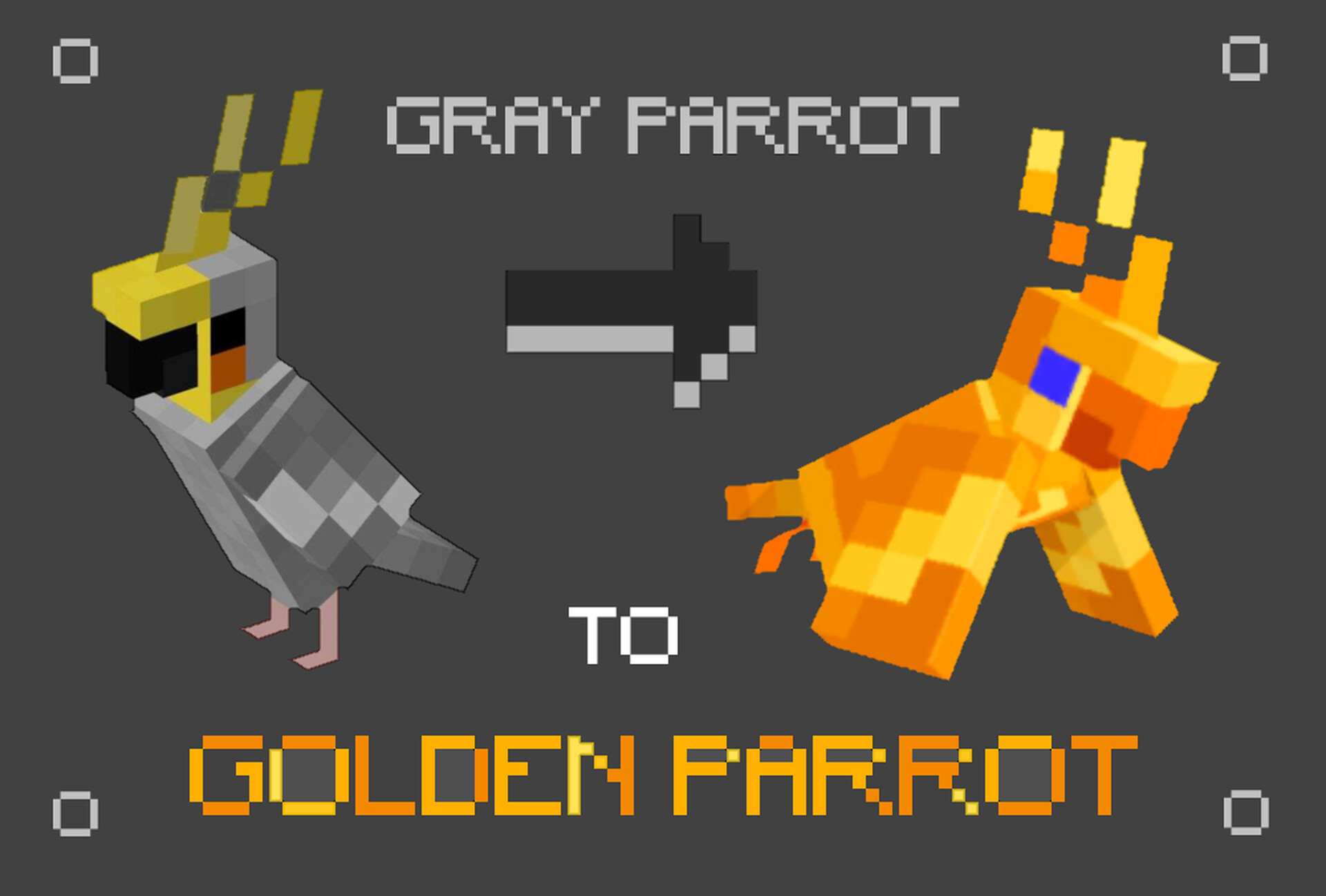 Gray parrot to Golden Parrot (bedrock) Minecraft Texture Pack