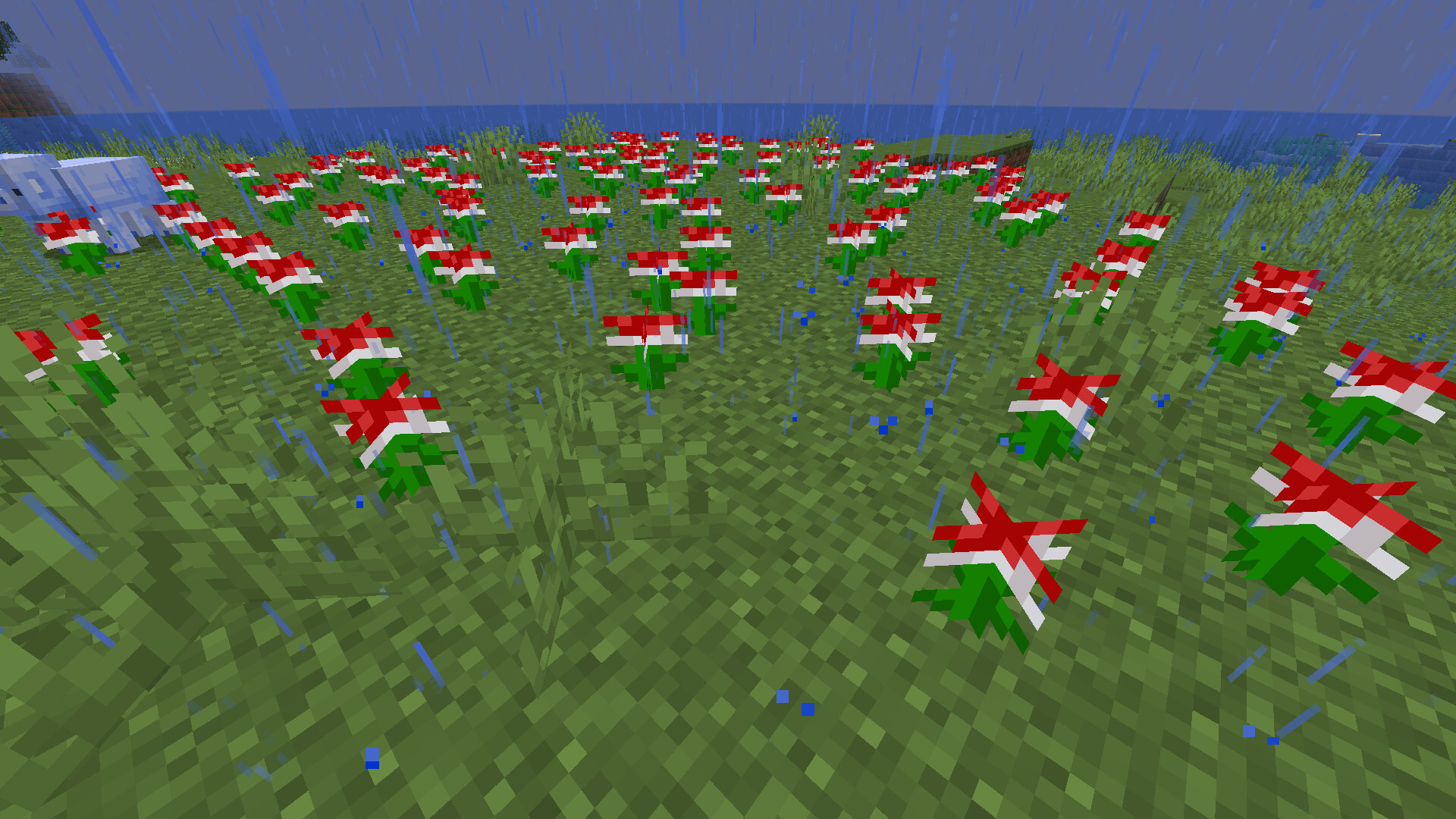 Diasy Into A Polish Flag ( Fixed ) Minecraft Texture Pack