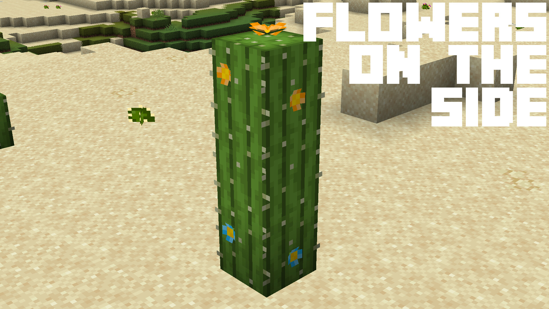 FA_pew's cacty pack !1.19! Minecraft Texture Pack