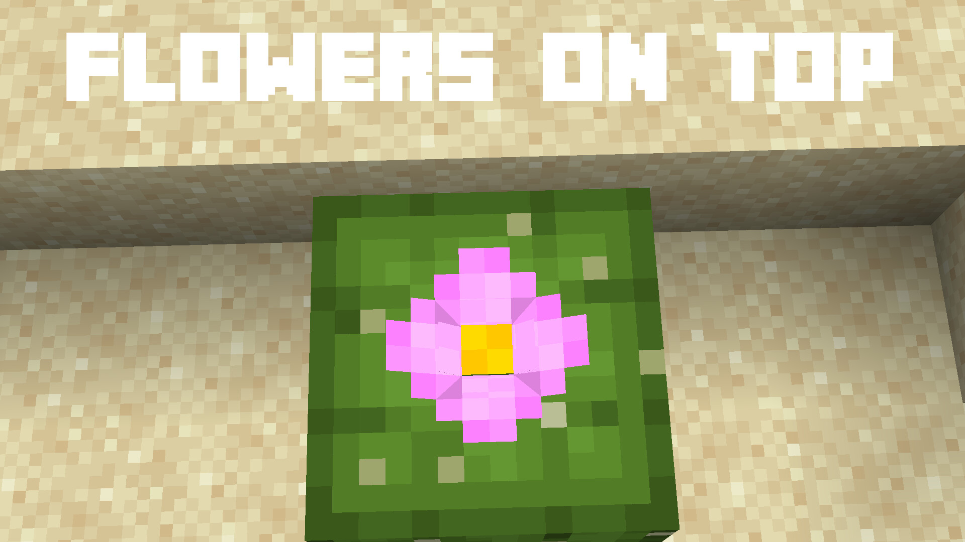 FA_pew's cacty pack !1.19! Minecraft Texture Pack