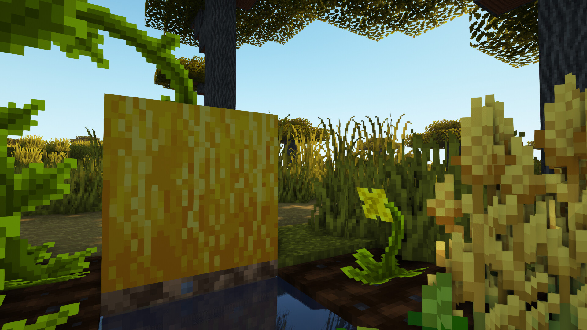 Melon Add-on Minecraft Texture Pack