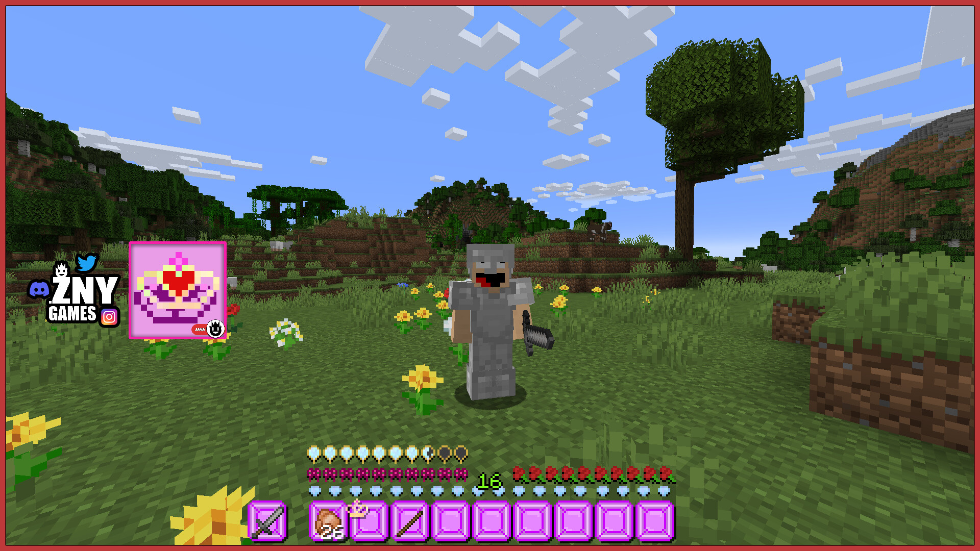 PRINCESS [JAVA] 👸 Minecraft Texture Pack