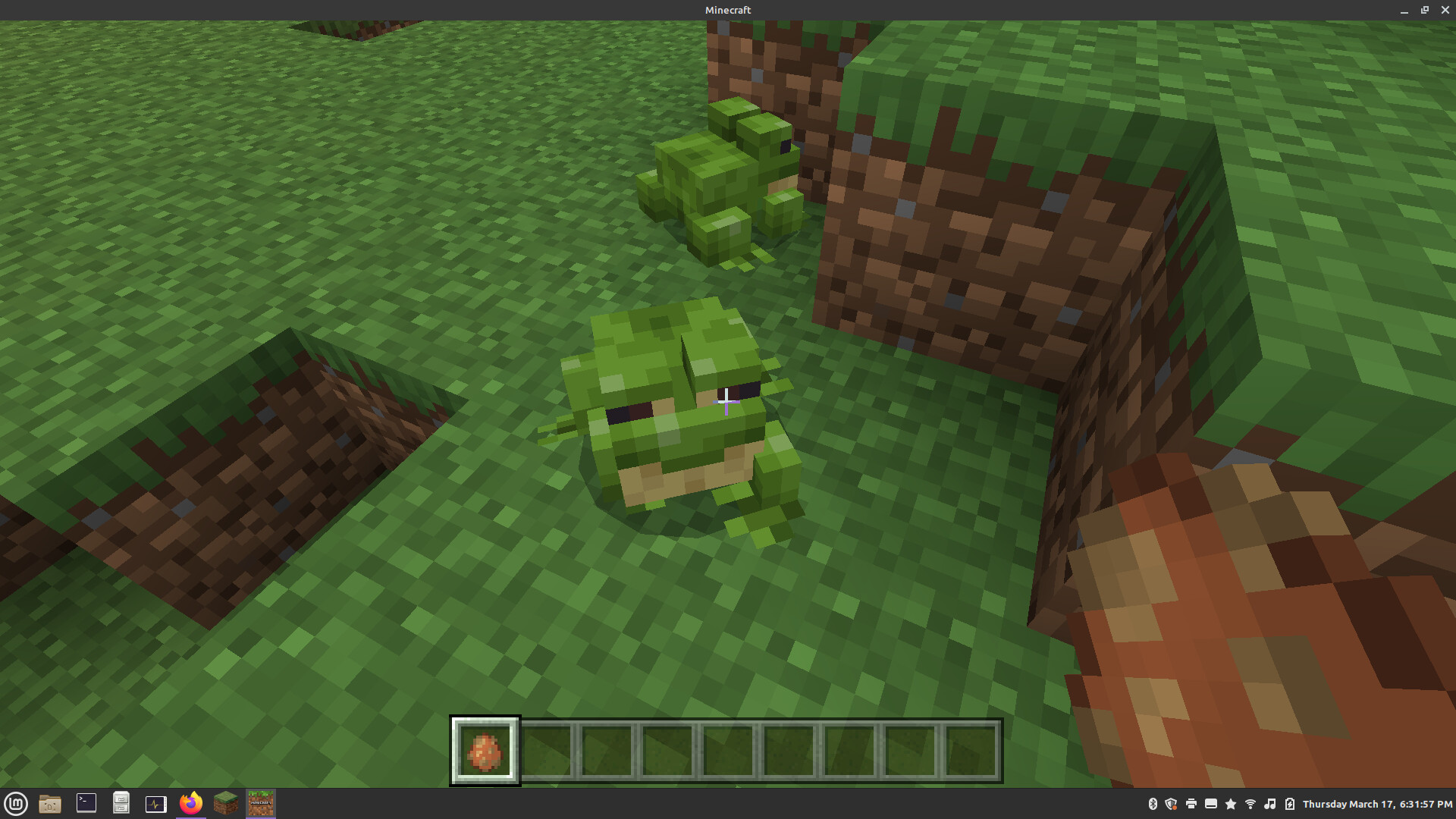 Frog Fix Bedrock And Java Minecraft Texture Pack
