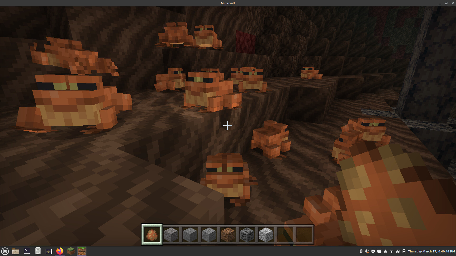 Frog Fix Bedrock And Java Minecraft Texture Pack