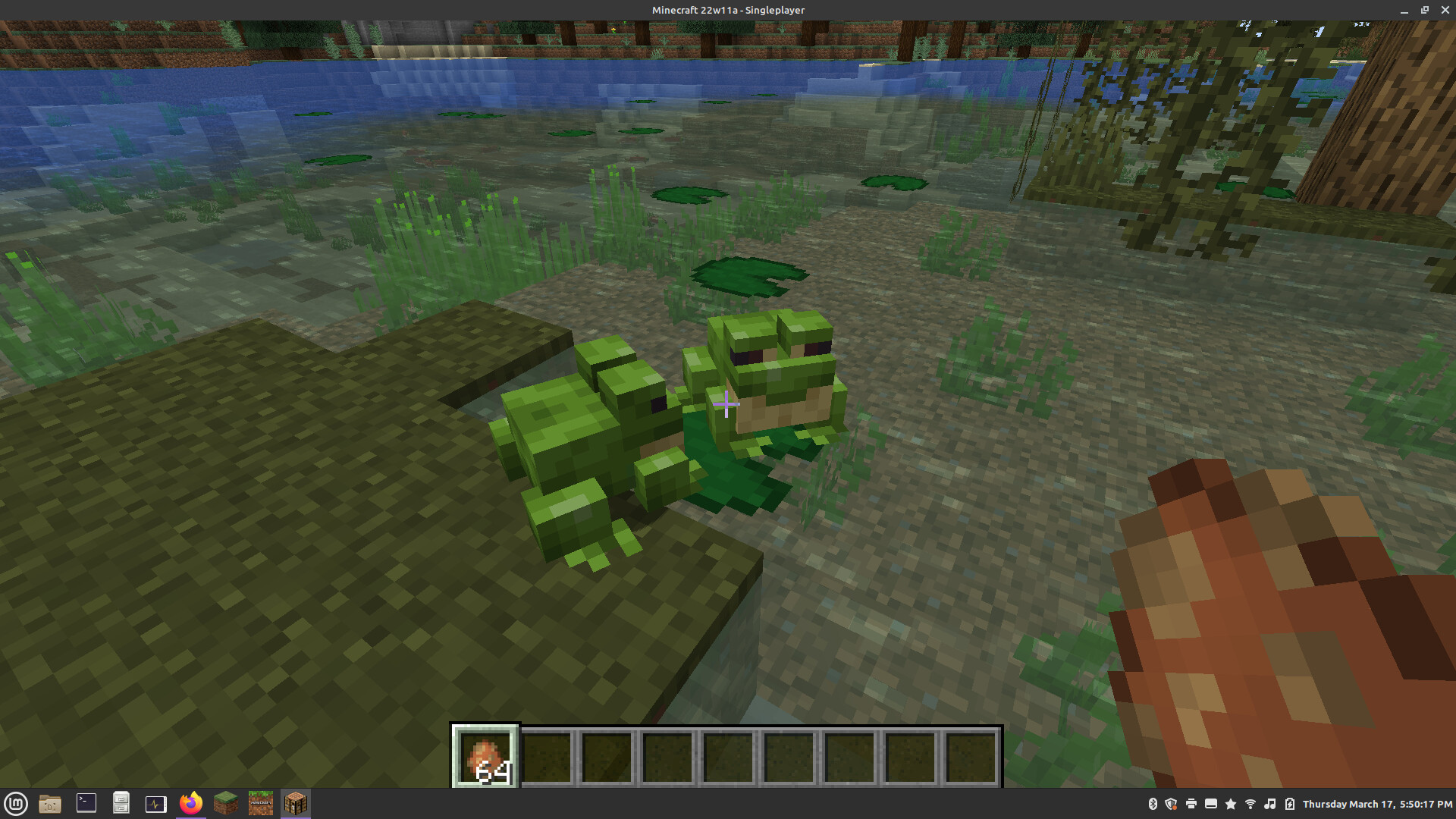 Frog Fix Bedrock And Java Minecraft Texture Pack