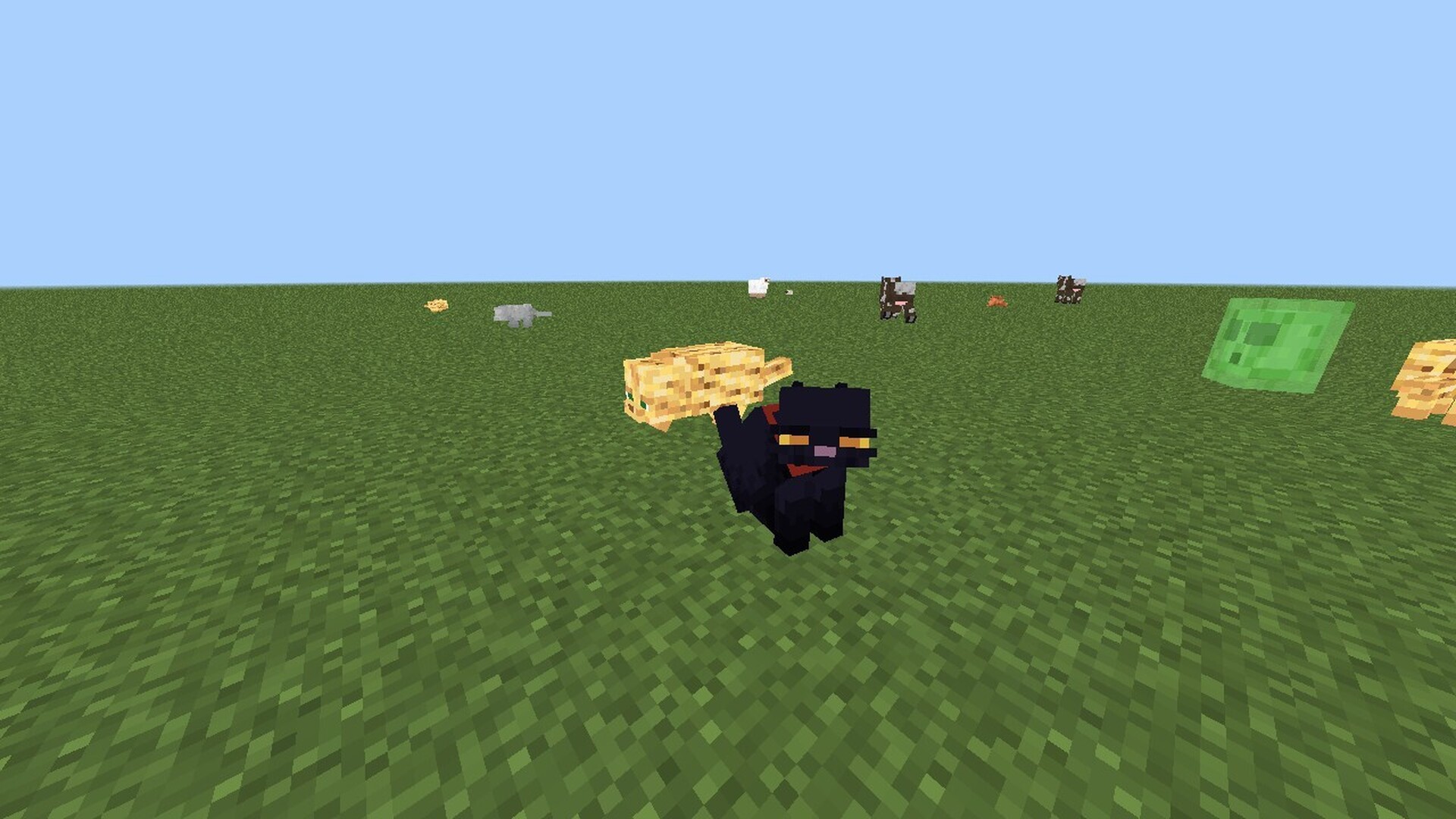 Fat Cat For Bedrock Edition Minecraft Texture Pack