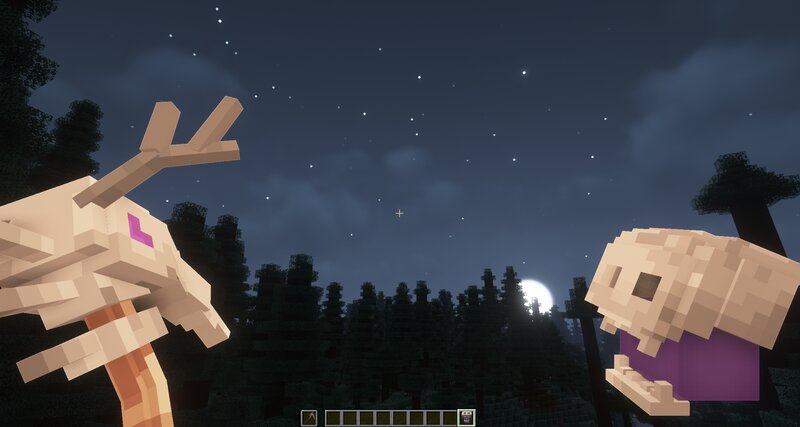 Shaman the Soul Magician - Custom Model with animation [Magic Event ...