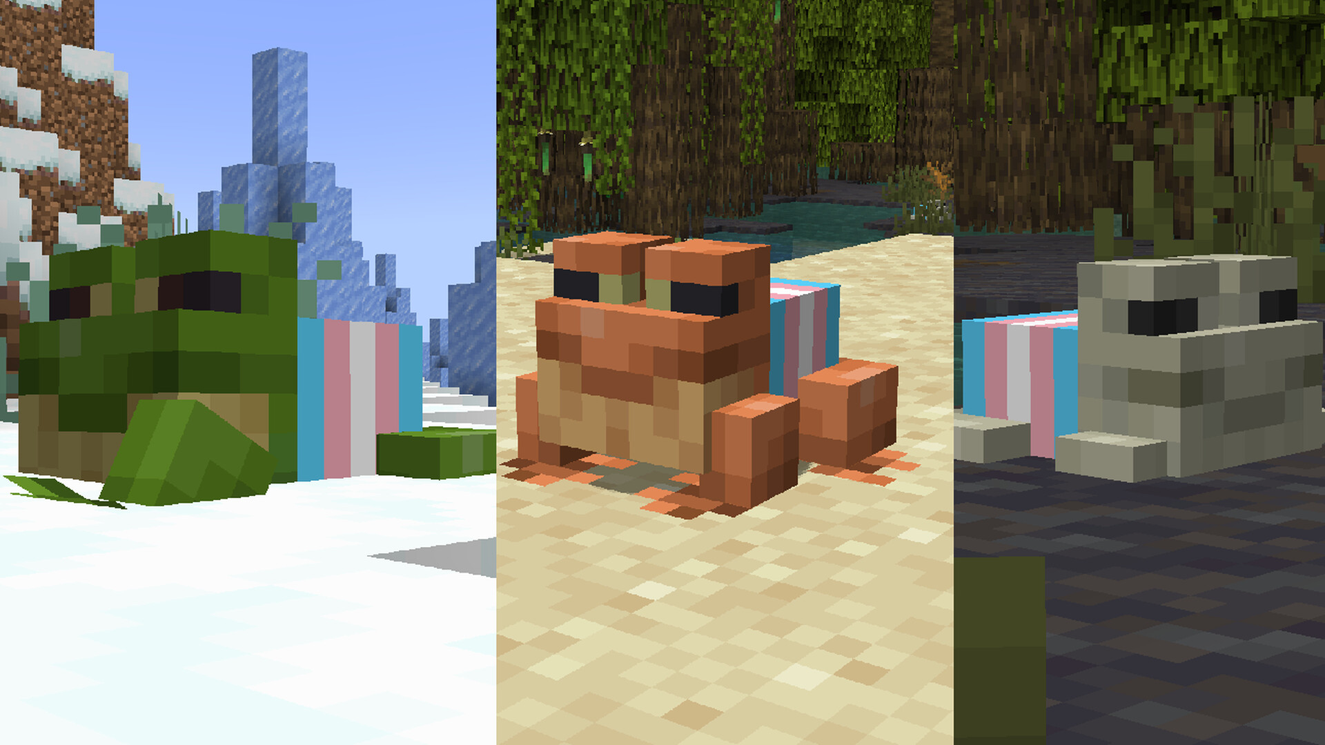 Trans Frogs (1.19 Snapshot) Minecraft Texture Pack