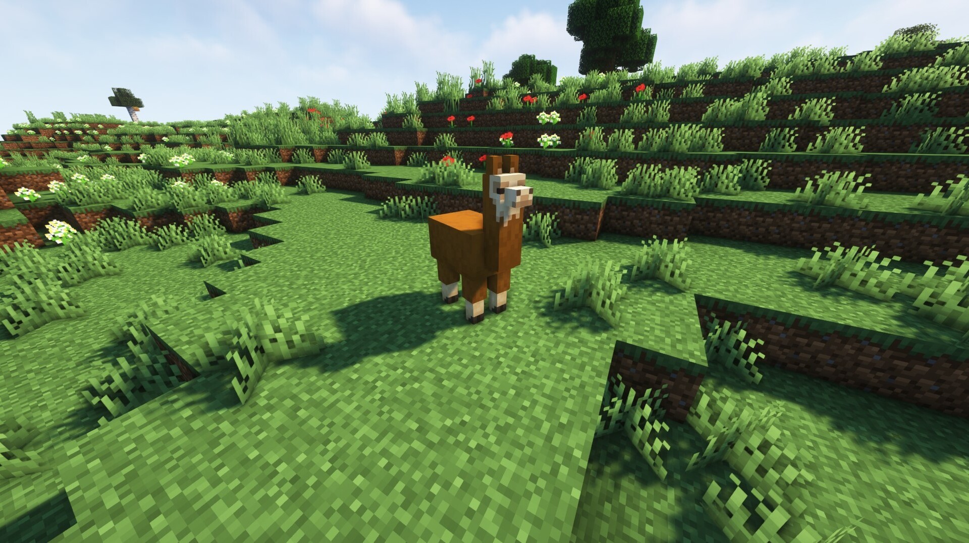 Better Vanilla Animals Minecraft Texture Pack