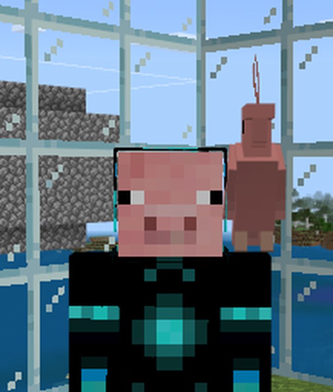 Red Parrot as a Pig Minecraft Texture Pack