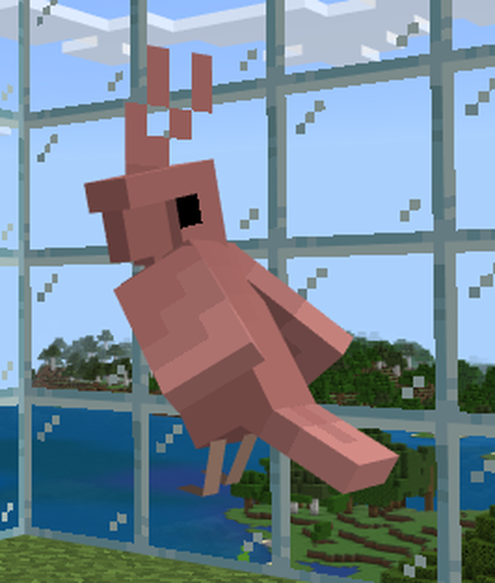 Red Parrot as a Pig Minecraft Texture Pack