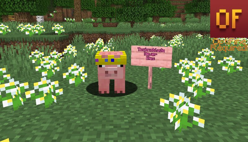 Crowned Pig Minecraft Texture Pack