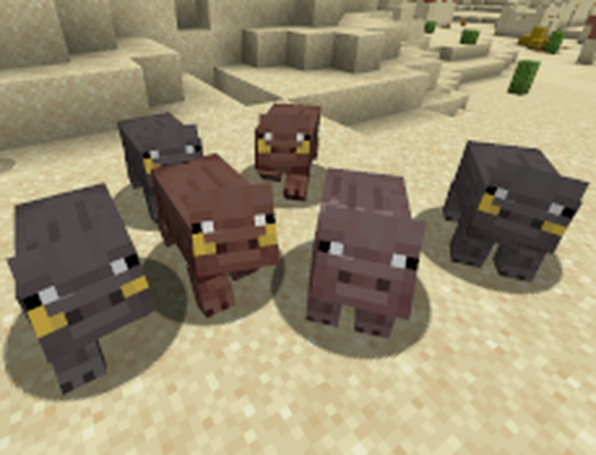 The totally original variety pack not a secuel to my other one. Pig ...