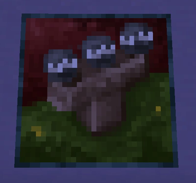 NoodleHead Wither Minecraft Texture Pack