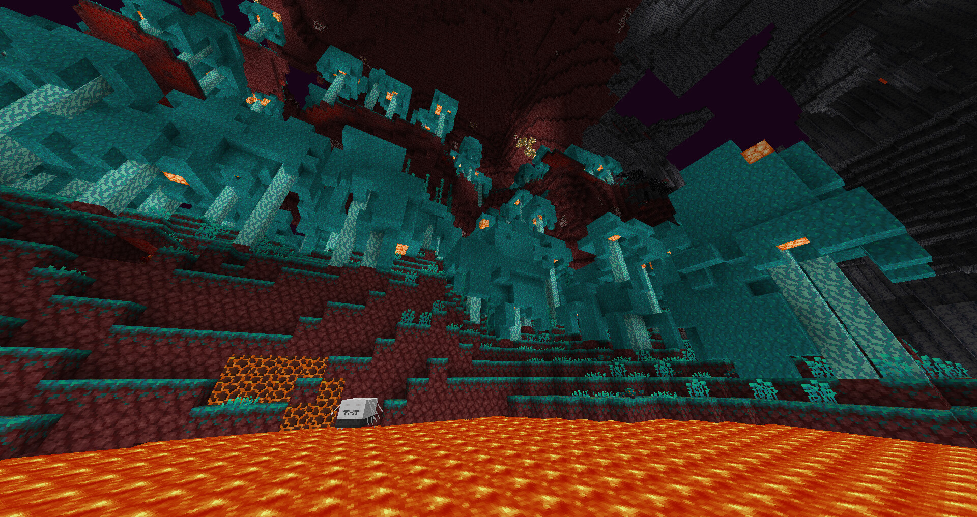 Warped Forest + (Warped Wood Retexture Pack) Minecraft Texture Pack