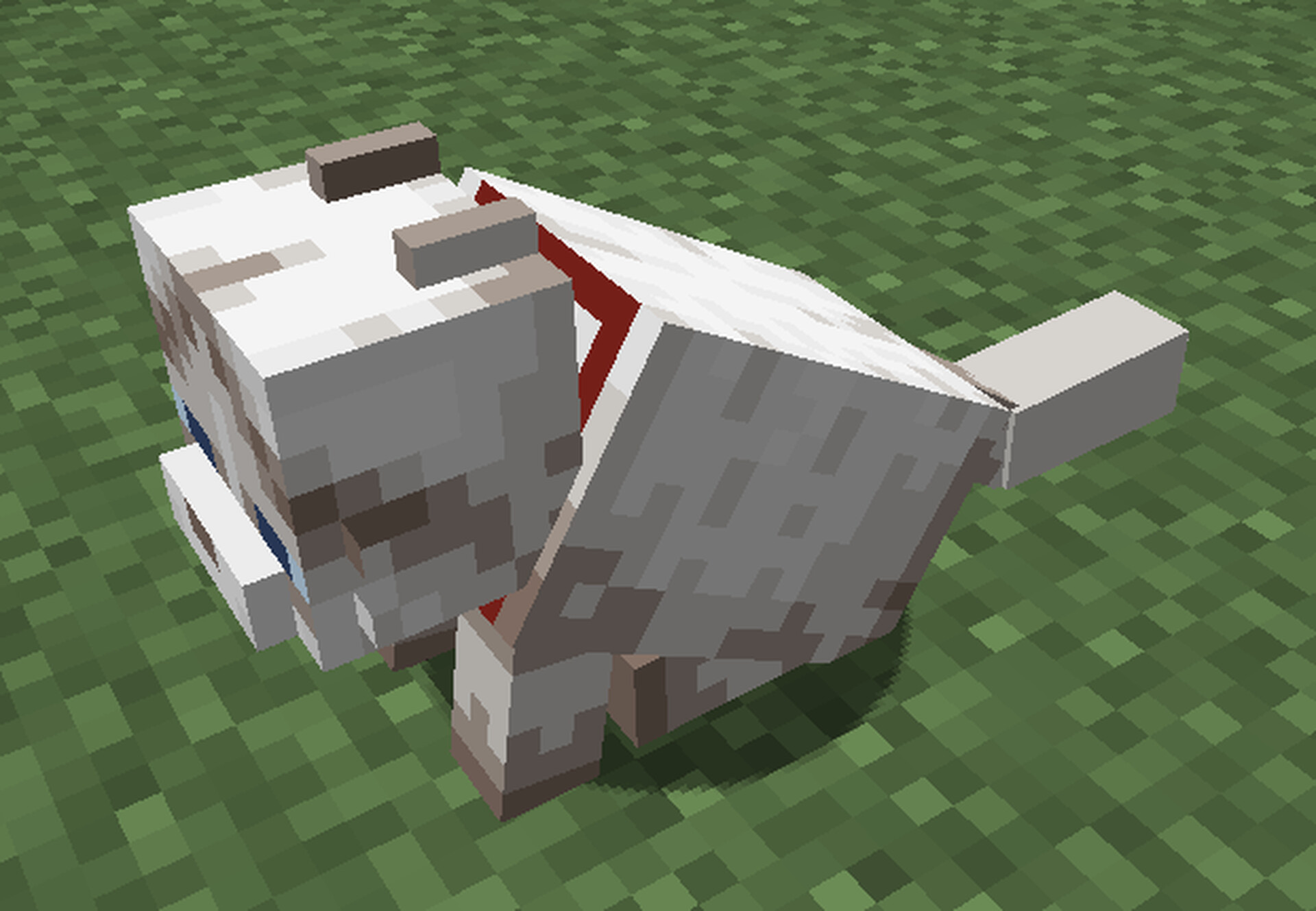 Fat Cat [Java + Bedrock] Minecraft Texture Pack