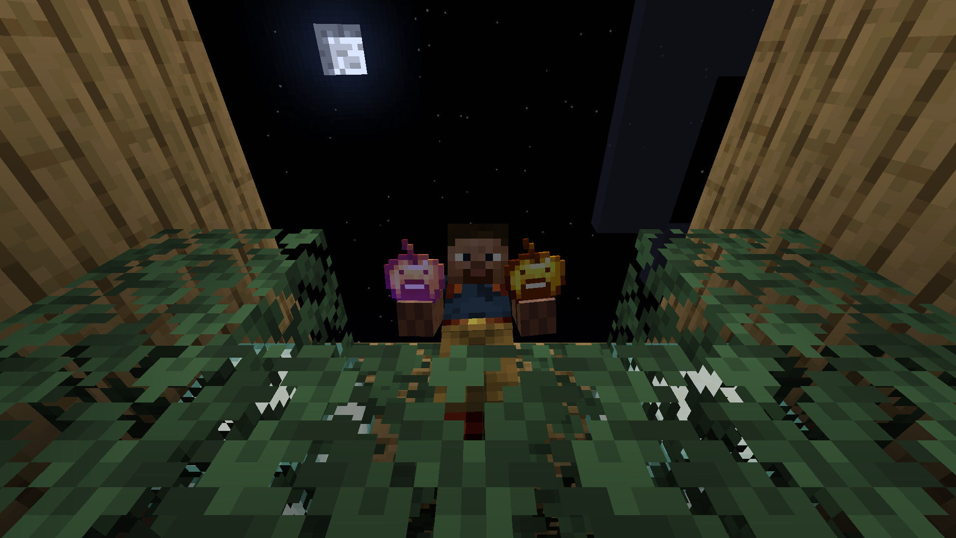 Notch gappel V2 Minecraft Texture Pack