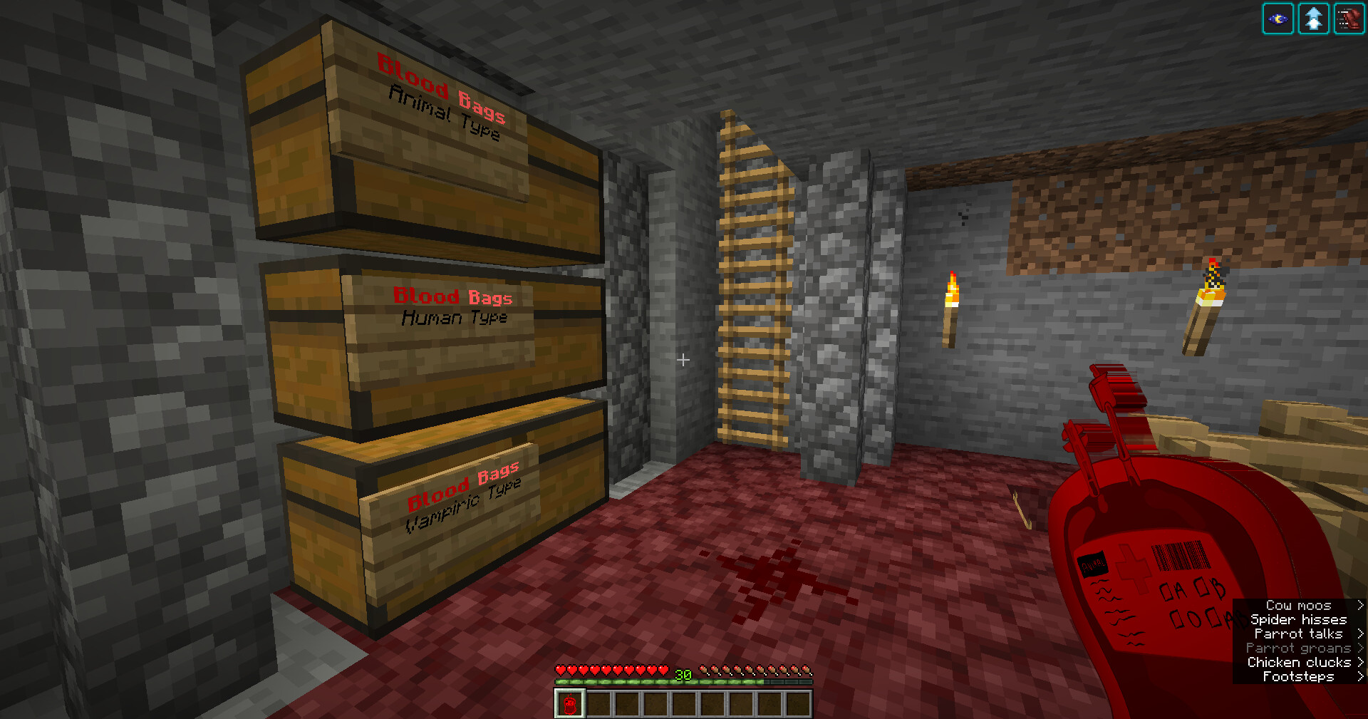 Custom Blood Bags Replace Bottle o' Blood(for Vampire Servers ...