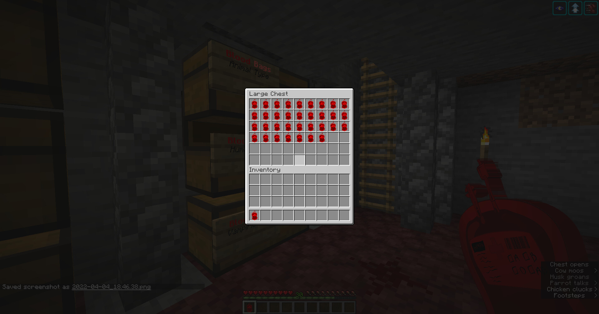 Custom Blood Bags Replace Bottle o' Blood(for Vampire Servers ...