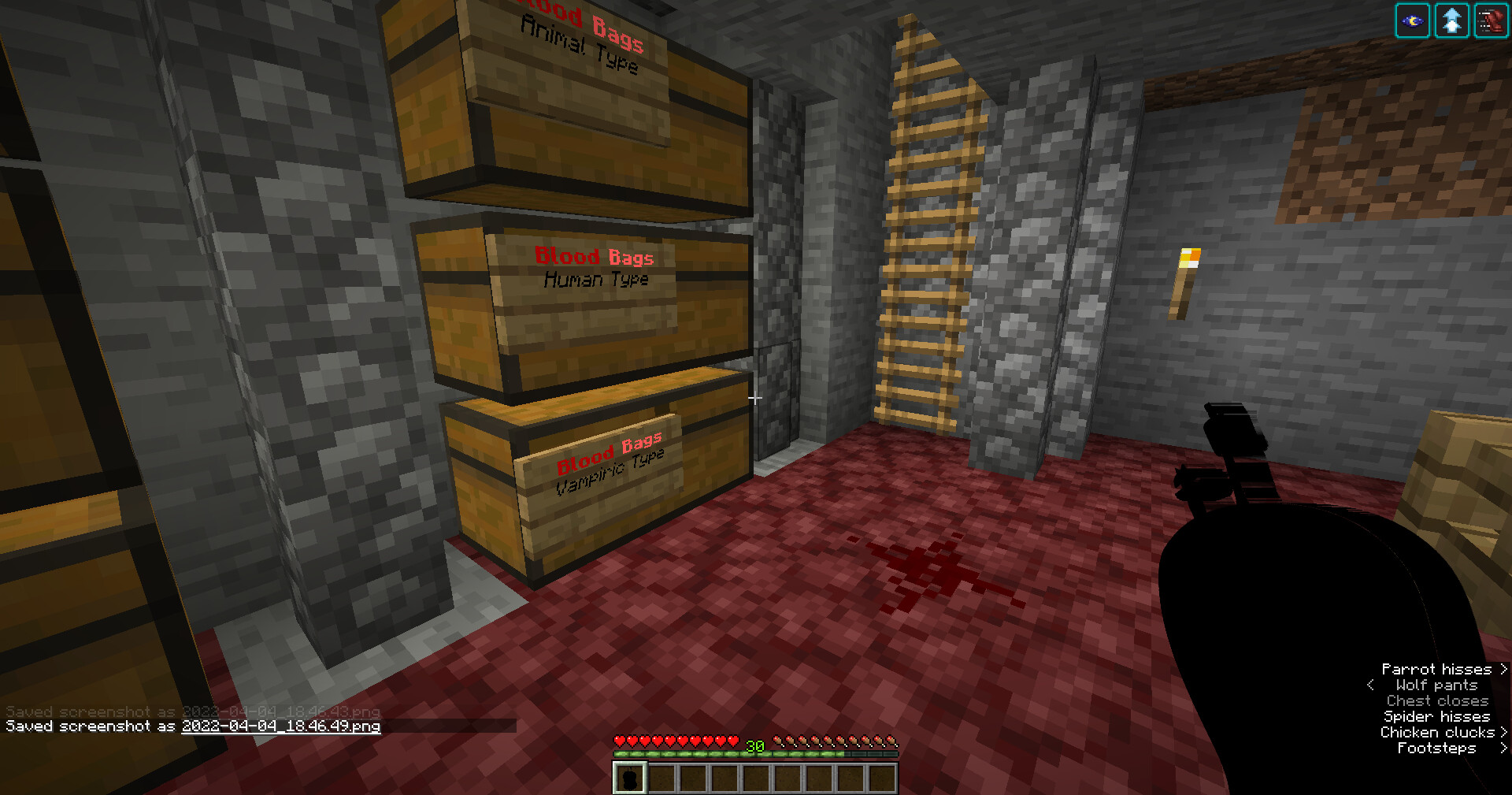 Custom Blood Bags Replace Bottle o' Blood(for Vampire Servers ...