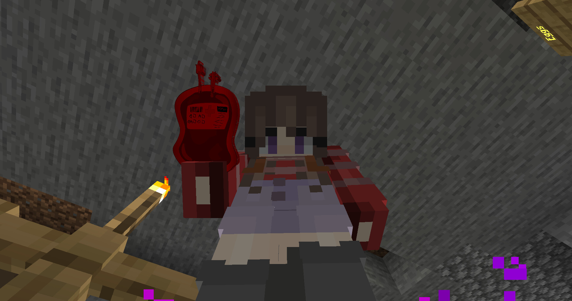 Custom Blood Bags Replace Bottle o' Blood(for Vampire Servers ...