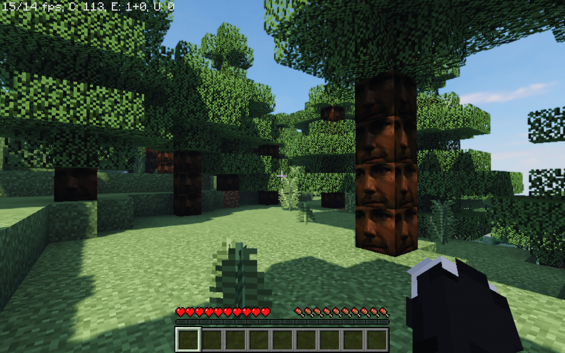 Bruce Wood Minecraft Texture Pack