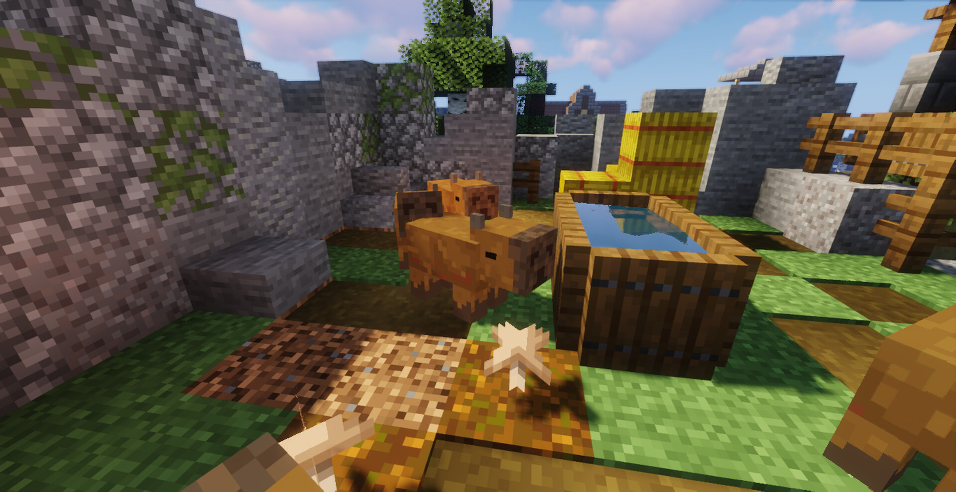 capibara pig! (OPTIFINE) Minecraft Texture Pack