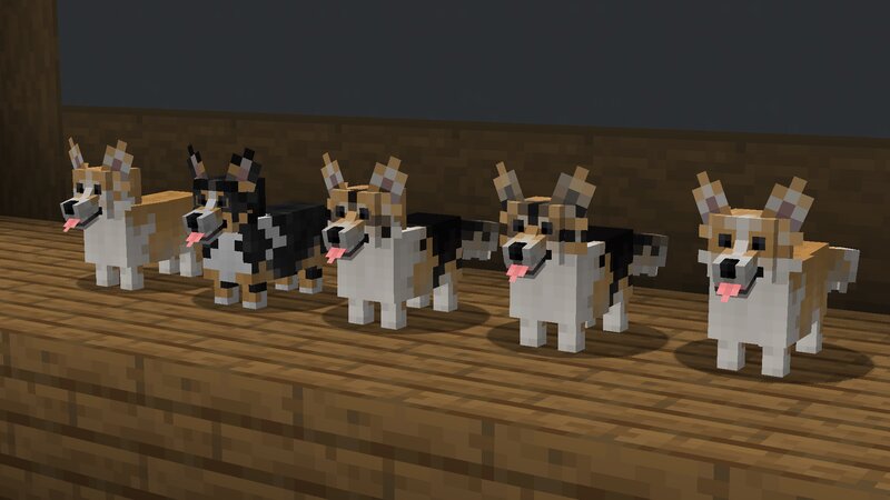 Corgis (Better Dogs) Minecraft Texture Pack