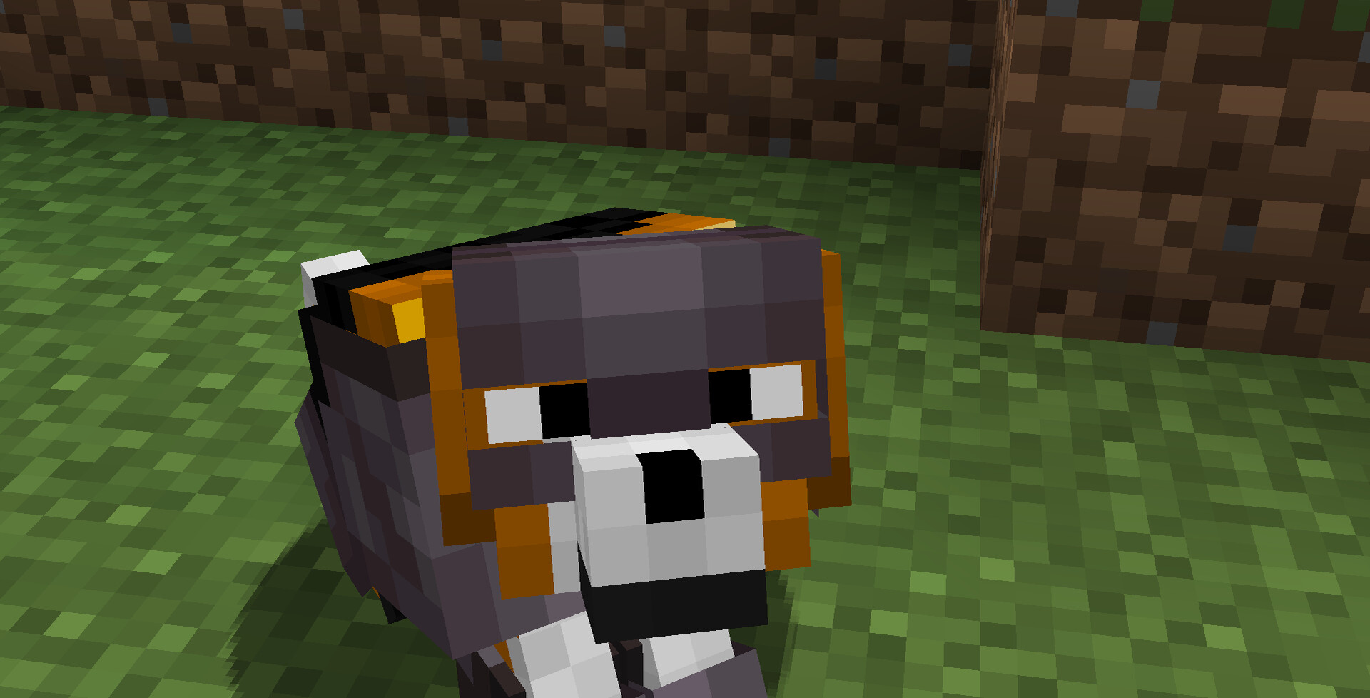 Wolves with armor textures for Doggy Talents Armor Minecraft Texture Pack