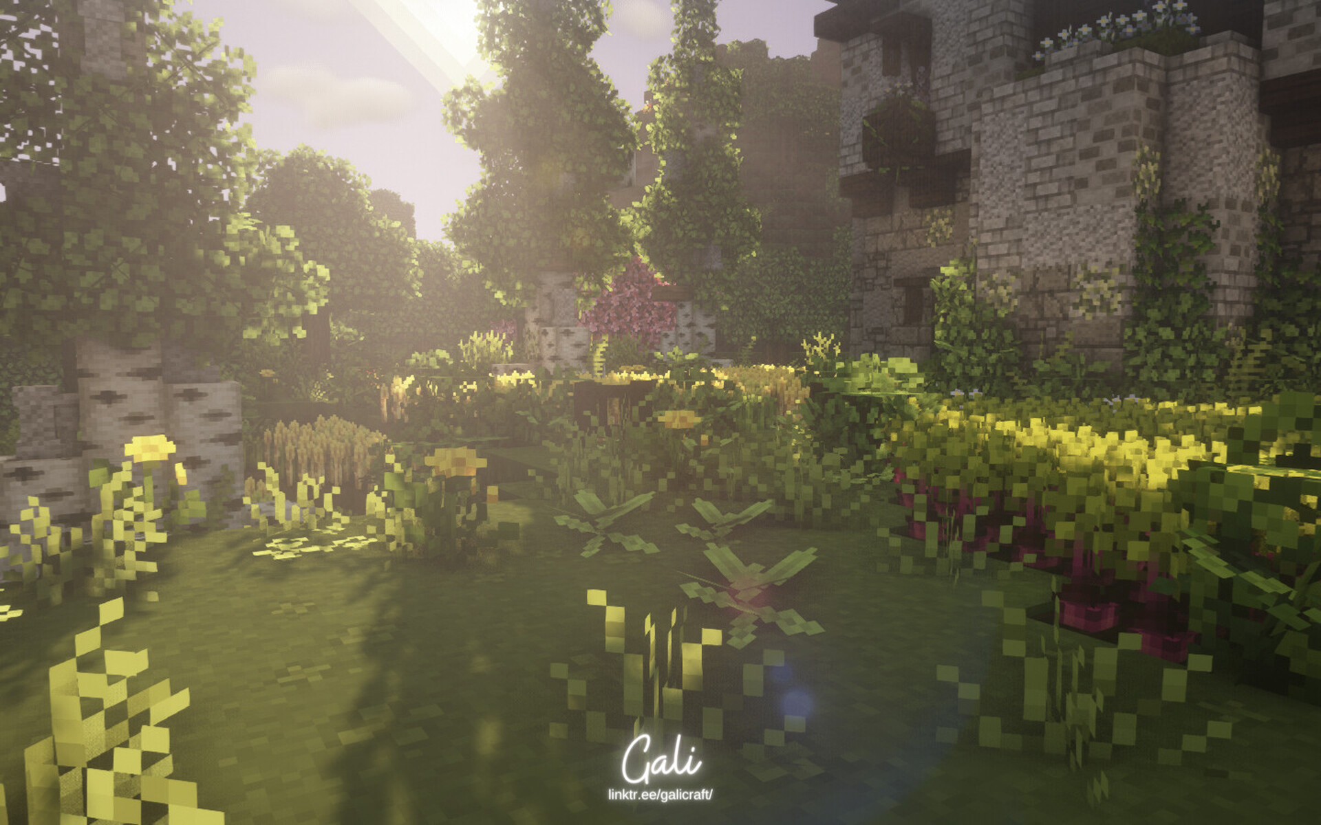 Farmer's Crops | Mizuno's 16 Craft Add-on Minecraft Texture Pack