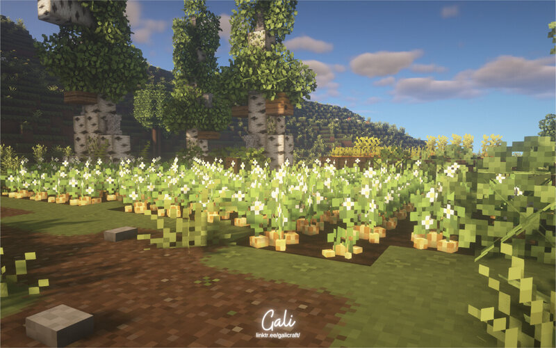 Farmer's Crops | Mizuno's 16 Craft Add-on Minecraft Texture Pack